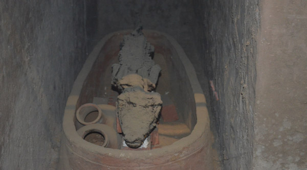 Crocodile Museum at Kom Ombo in Egypt