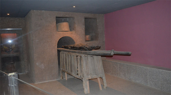 Crocodile Museum at Kom Ombo in Egypt