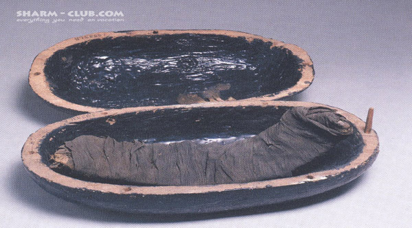 Le mummie di animali dell'antico Egitto