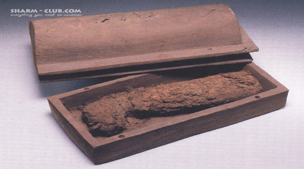 Animal Mummies in Ancient Egypt | Ancient Egyptian Animals Mummies