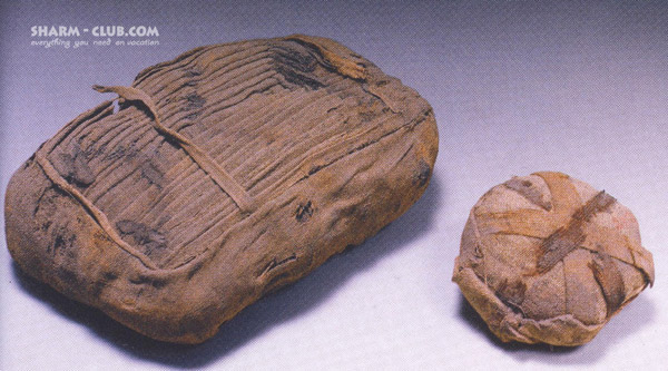 Animal Mummies in Ancient Egypt | Ancient Egyptian Animals Mummies